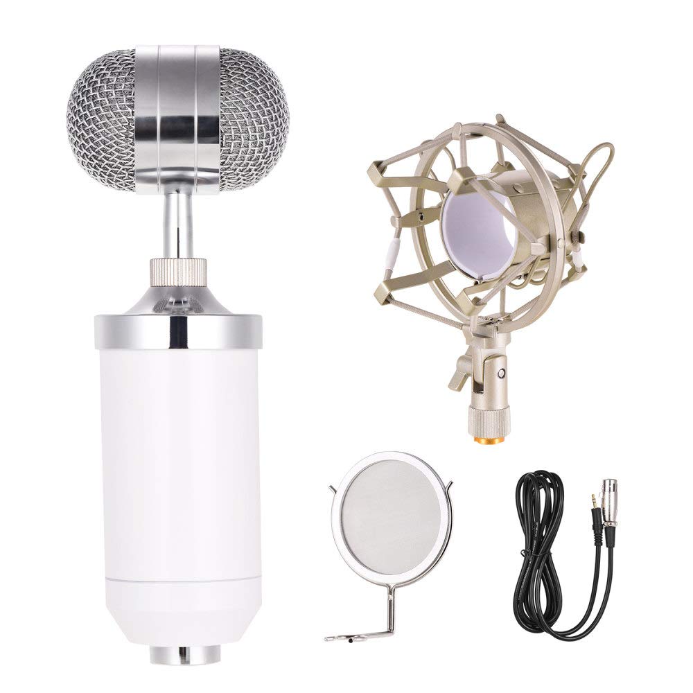 WGOEODI Recording Uni-Directional Condenser Microphone Kit, with Metal Shockproof Clamp Windshield Low Noise High Sensitive Mic,White
