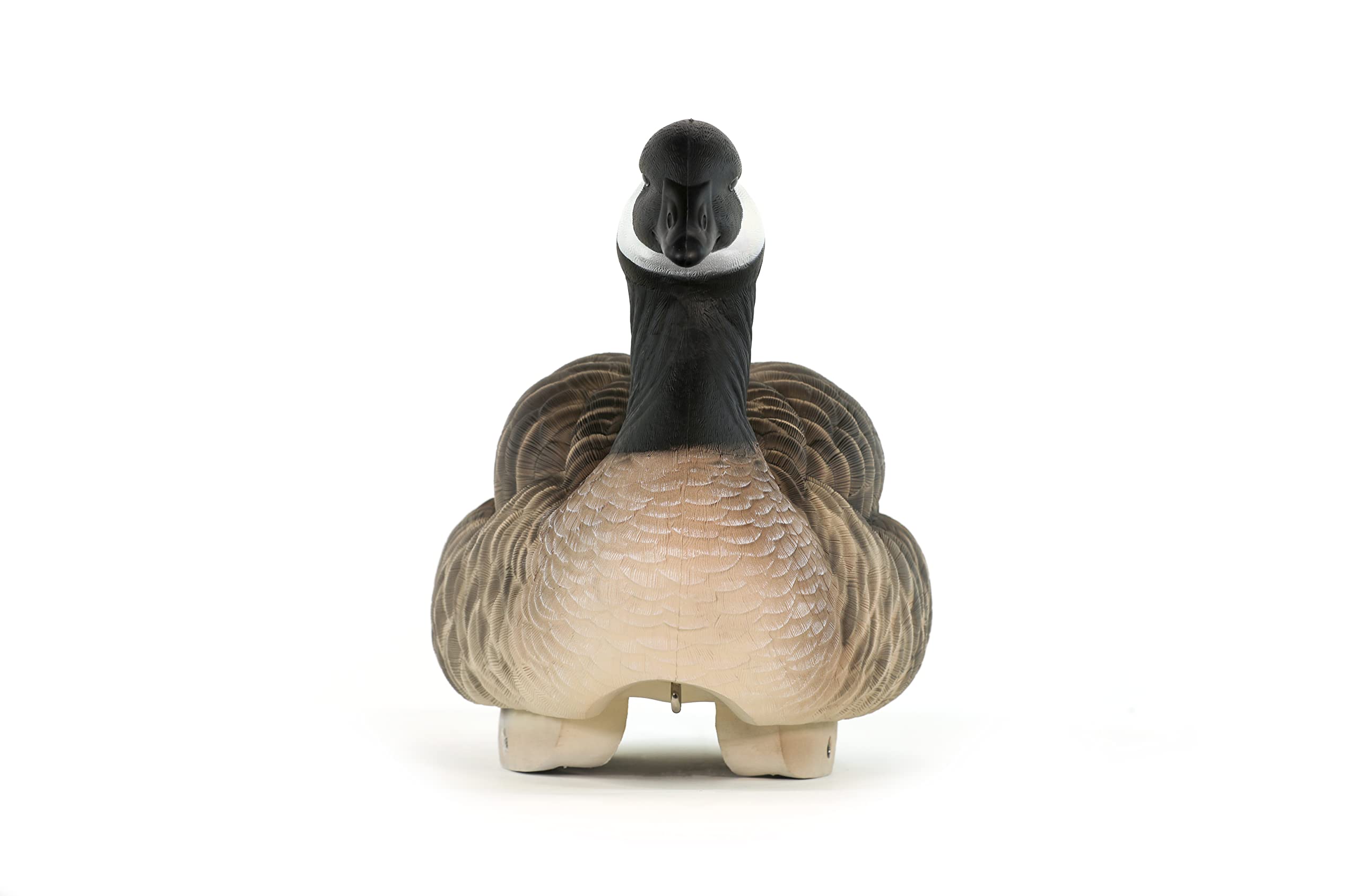 Ultralight 100% HydroFoam Canada Goose 4 Pack - Light as a Feather - Lasts Forever