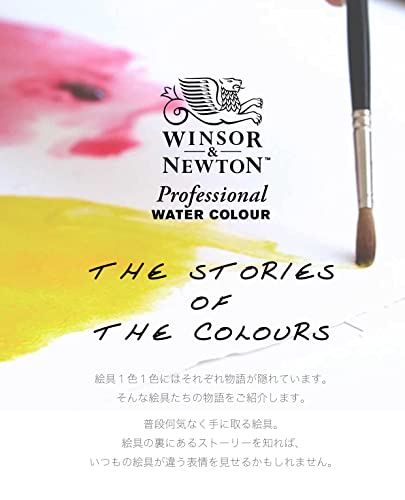 Windsor & Newton Artists Water 5ML Tube 12C Set (Japan Import)