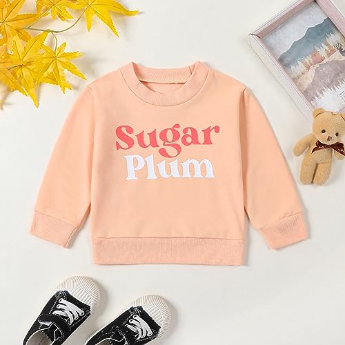 Toddler Baby Boy Girl Christmas Outfit Crewneck Sweatshirt Oversized Long Sleeve Pullover Sweater Christmas Clothes (Sugar Plum Pink, 2-3 Years)
