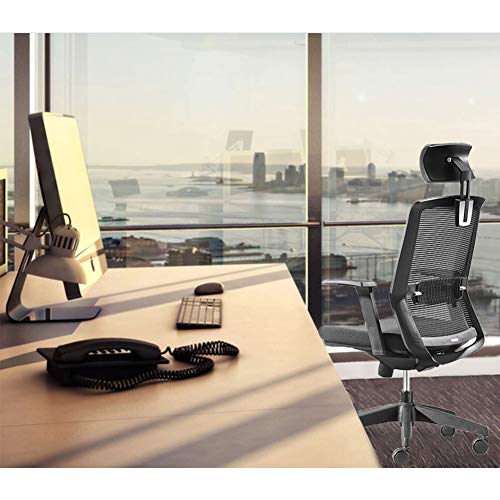 YuanKanJu Ergonomic Office Chair, Home High Back Desk Chair,Adjustable Headrest Backrest and Armrest's Mesh Office Chair with Lumbar Support and Rolling Wheels