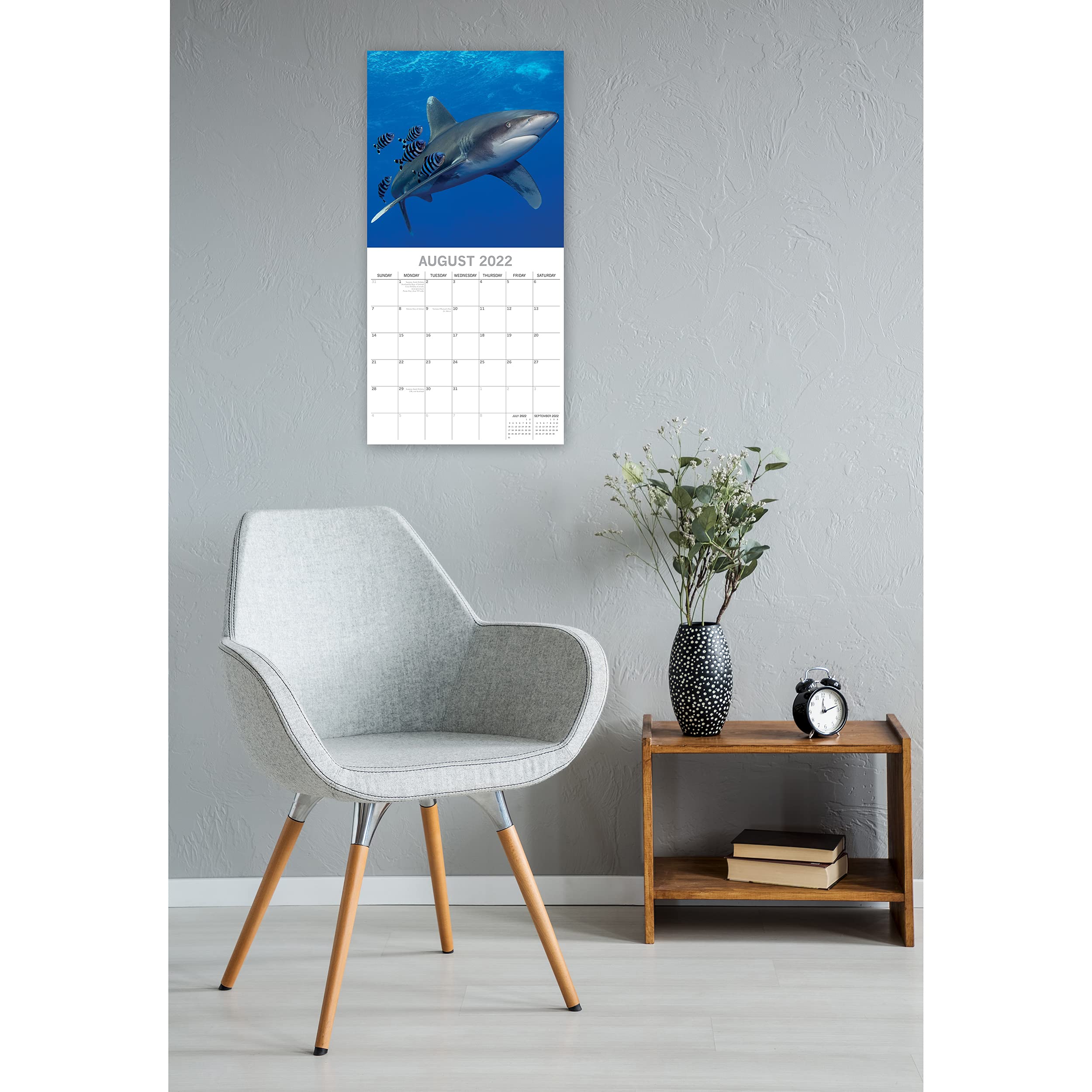 Sharks - Haie 2022-18-Monatskalender: Original BrownTrout-Kalender