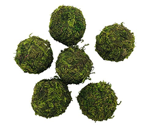 zorpia Natural Preserved Moss Hanging Ball Vase Bowl Filler for Garden, Wedding, Party Decoration (3.5"(6 Pack), Green)