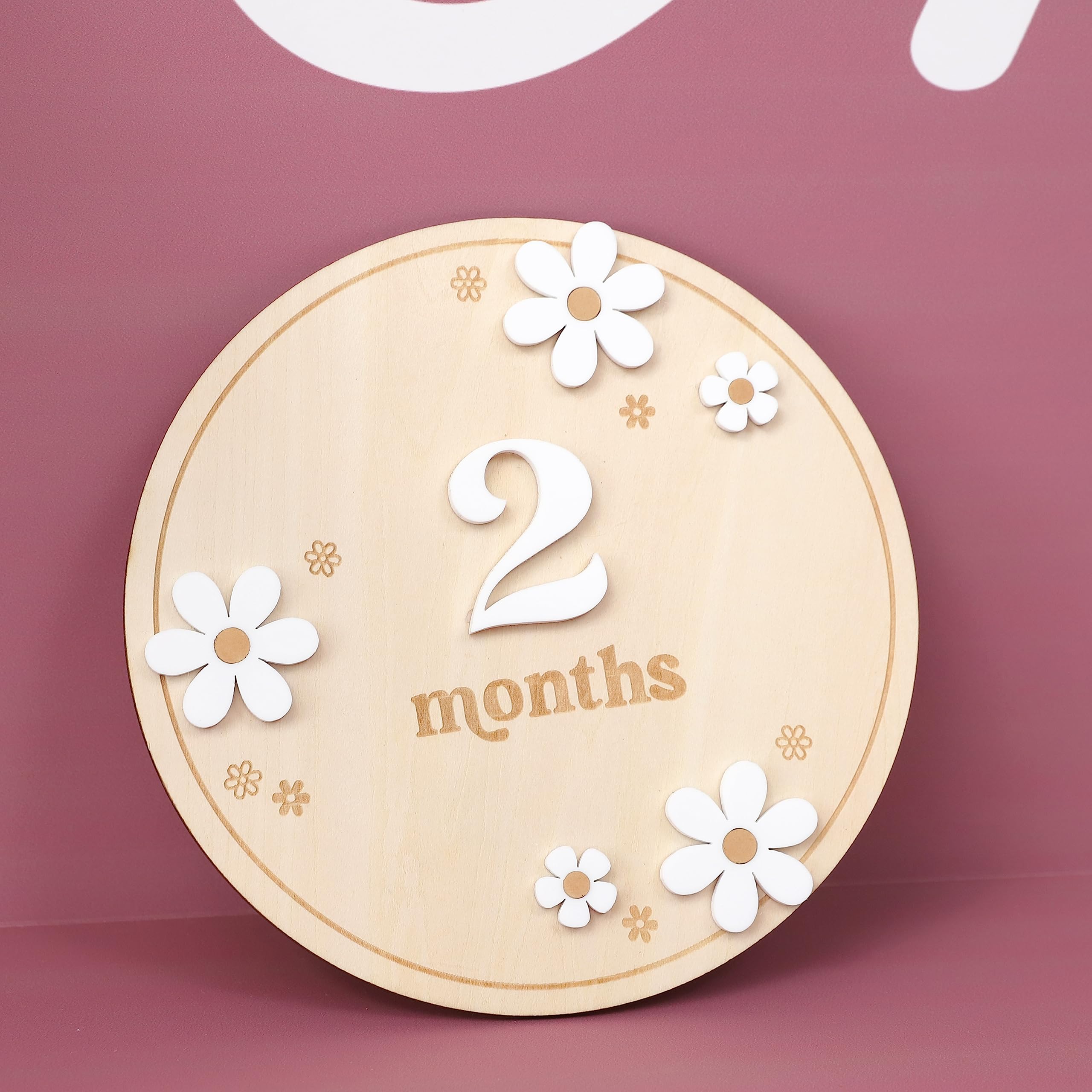 Wooden Boho Daisy Flower Milestone Cards - 1-12 Months Interchangeable Milestone Card Decor,Baby Party Photo Prop,Full Moon Background Decoration Props. (2-12 Months Daisy Flower Milestone Cards)