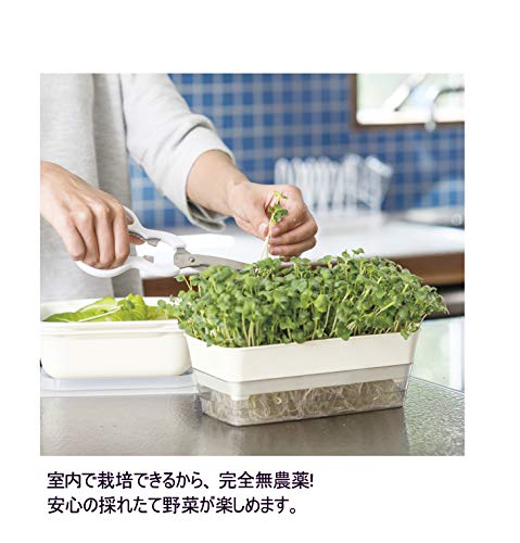 リッチェル Richell 002298 Sprout Farm Type 12 N Dark Gray, Set of 3, Made in Japan