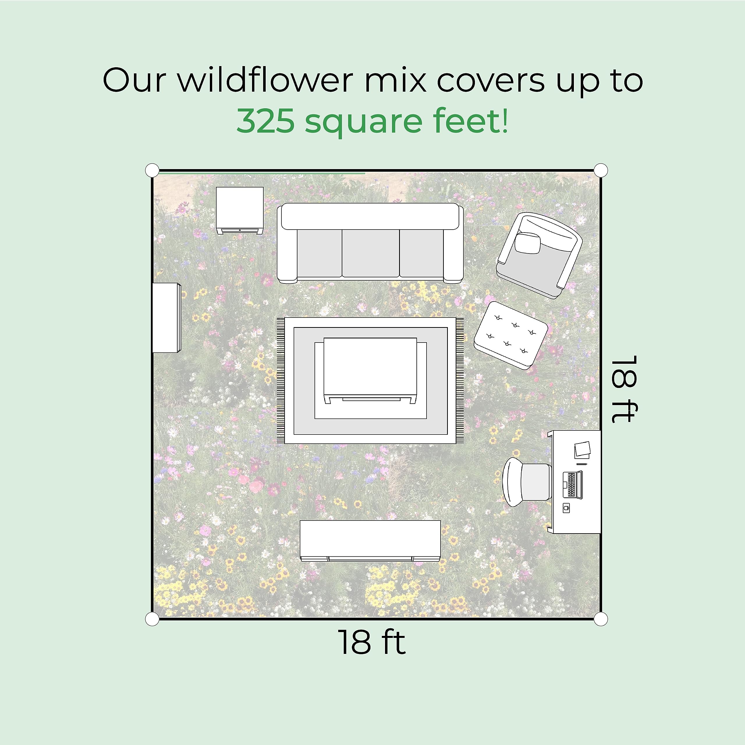 West Virginia Wildflower Seed Mix, Covers 325 Sq Ft, 18 flower varieties, Over 35,000 seeds, Created By Nature