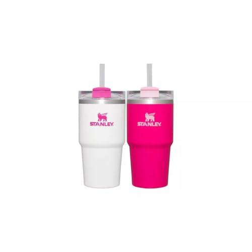 STANLEY 2pk 20oz Stainless Steel H2.0 Flowstate Quencher Tumblers