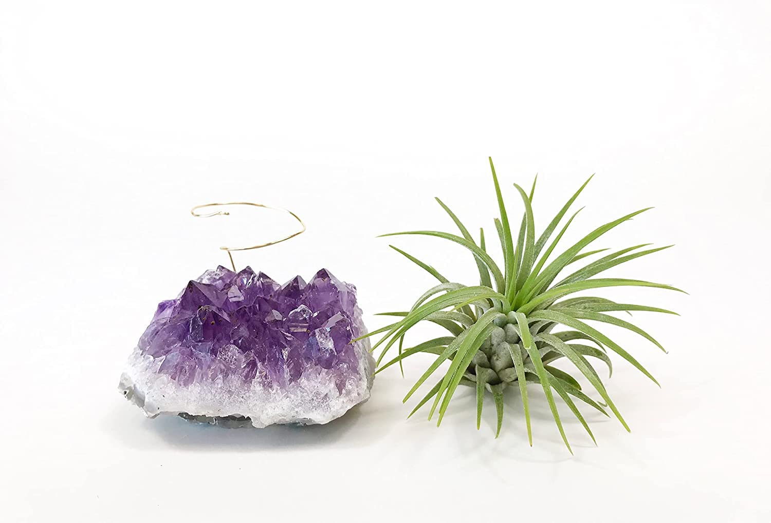 Small Amethyst Crystal Air Plant Holder Includes live Air Plant and Happy Birthday Gift Box
