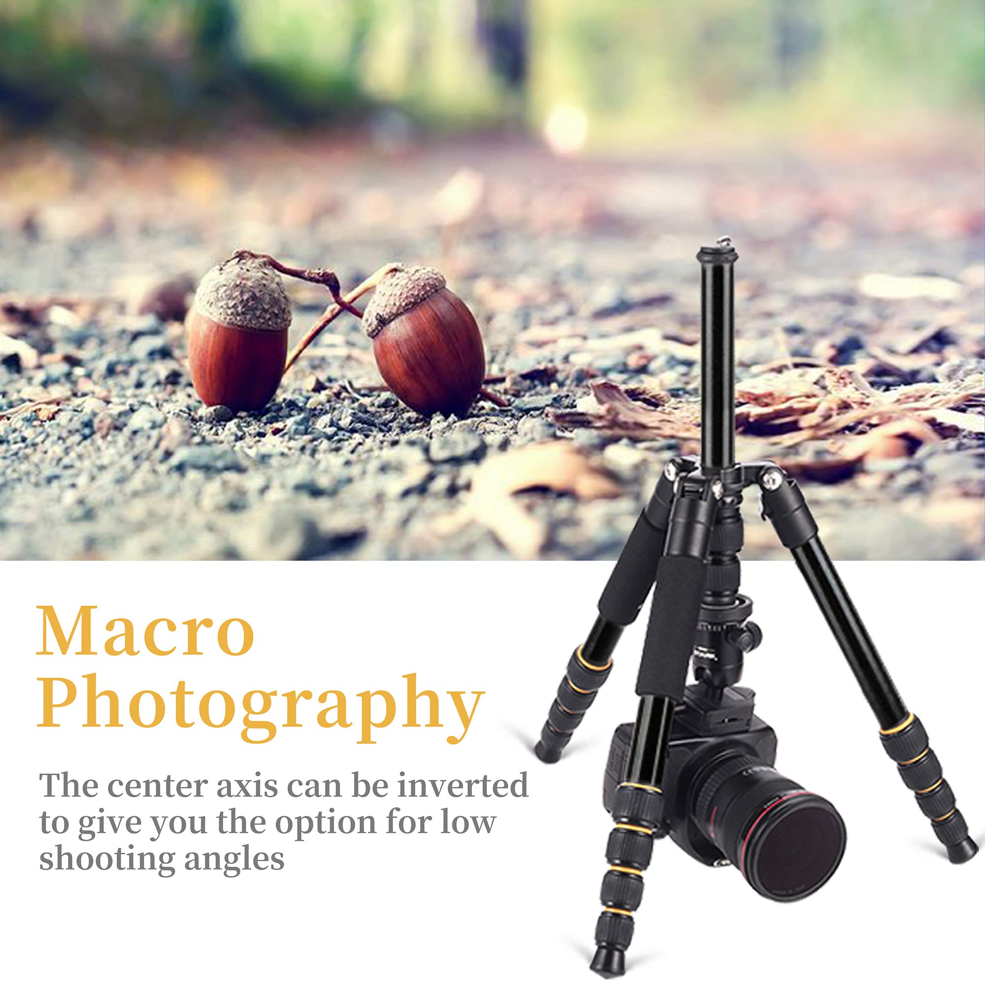 ZOMEI Aluminum Portable Tripod with Ball Head Heavy Duty Lightweight Professional Compact Travel for Nikon Canon Sony All DSLR and Digital Camera