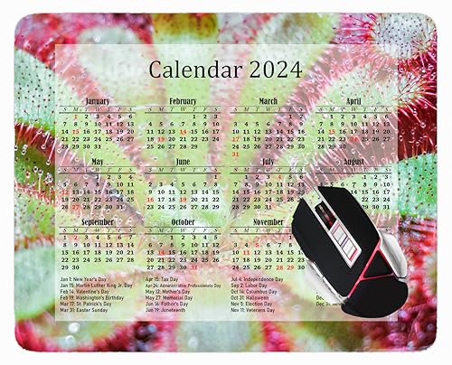 YENDOSTEEN Calendar 2024 Year Mouse Pad,Sun Starfish Ocean Surf Beach Gaming Mouse Mat Pad with Stitched Edges Type 312