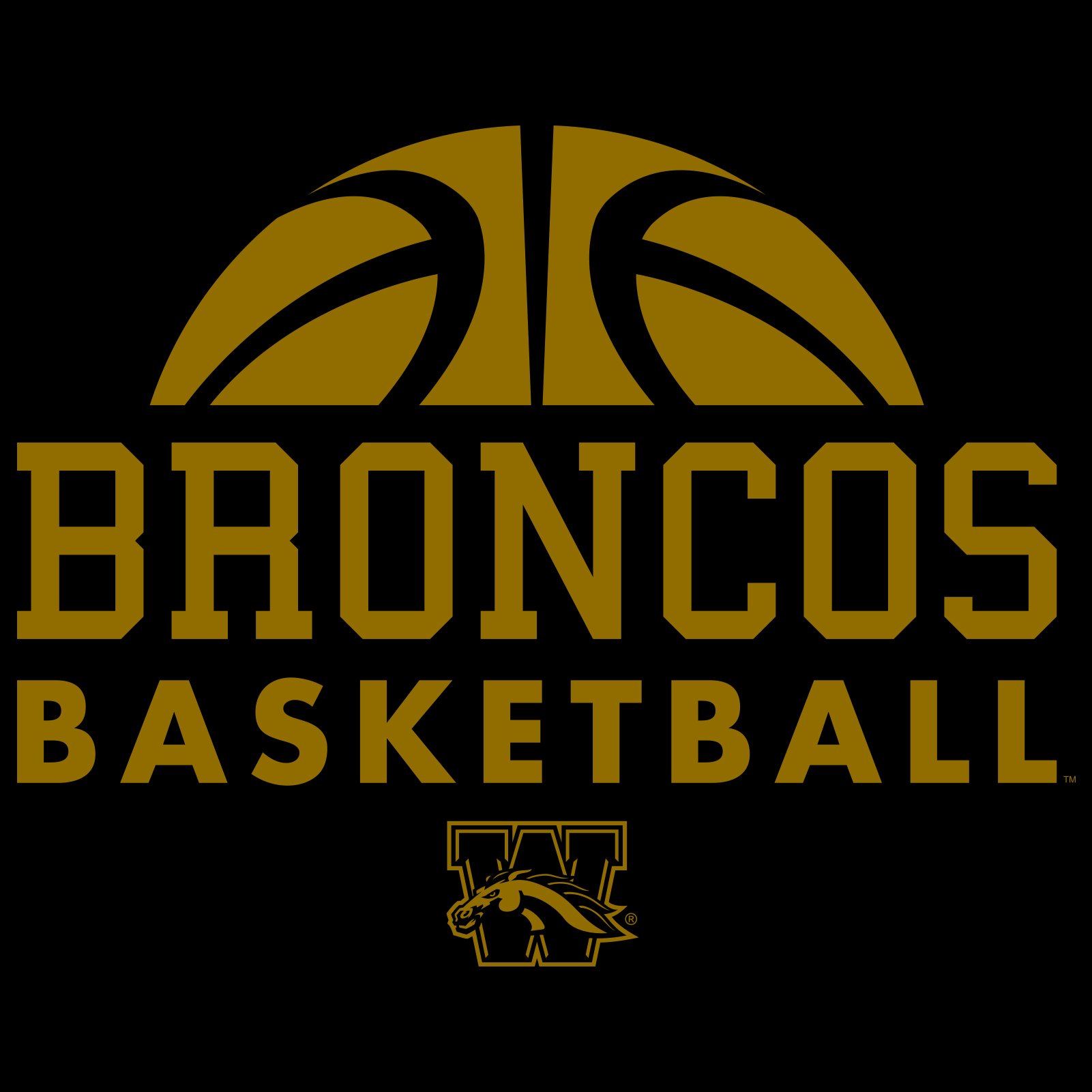 Western Michigan Broncos Basketball Hype Mens T-Shirt - Medium - Black