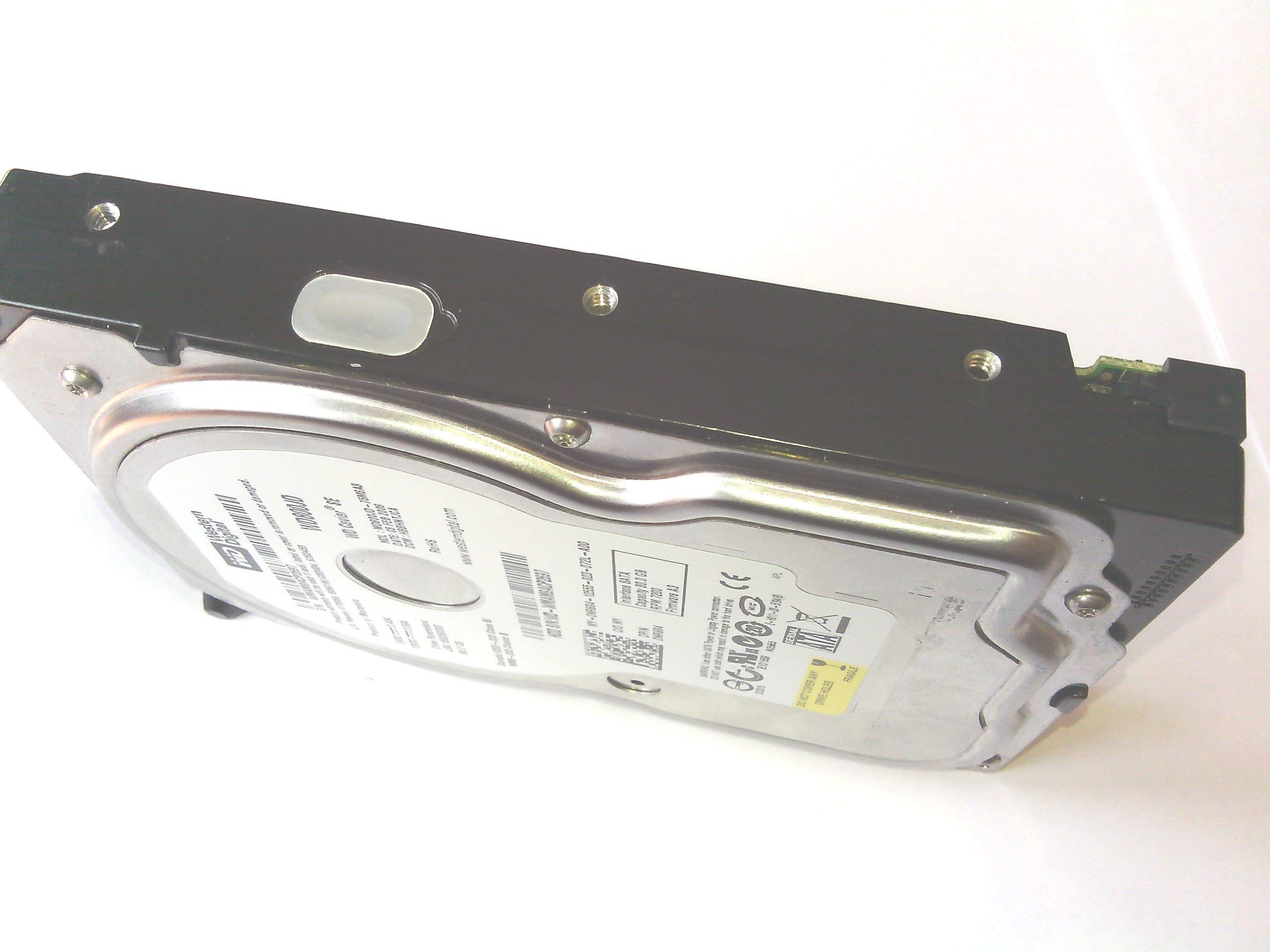 Western Digital WD800JD-75MSA3 80GB HDD, 3.5 7200RPM SATA (WD800JD75MSA3) (Renewed)