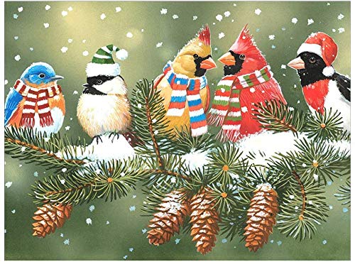 Tenei Paint by Numbers for Adults & Kids Oil Paint DIY Craft Paintings Art Set on Canvas Color by Number Kits Acrylic(Birds)