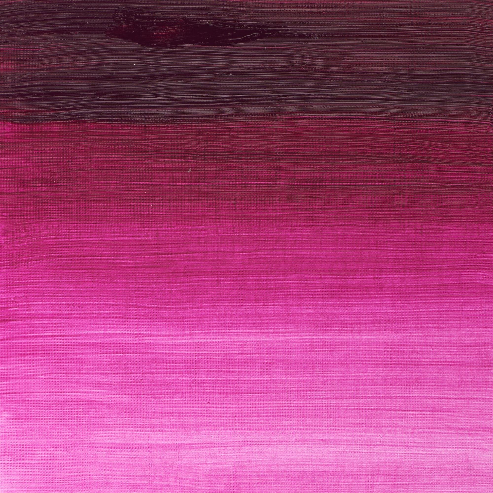 Winsor & Newton Winton Oil Color, 37ml (1.25-oz) Tube, Magenta