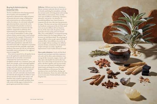 The Plant Medicine Protocol: Unlocking the Power of Plants for Optimal Health and Longevity