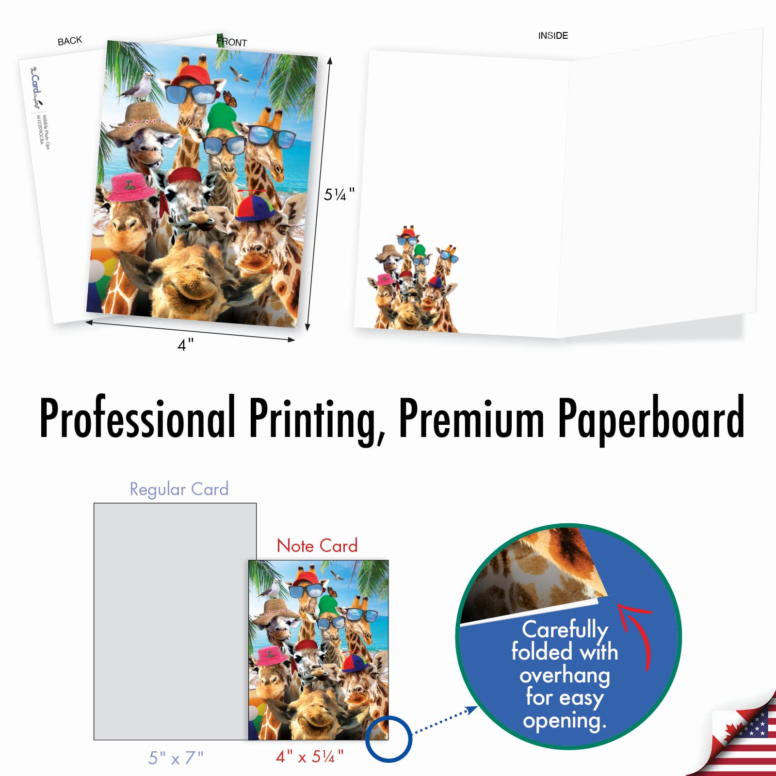 The Best Card Company - 20 Assorted Blank Note Cards Boxed Set 4 x 5.12 Inch with Envelopes (10 Designs, 2 Each) Wildlife Photo Ops AM10209OCB-B2x10
