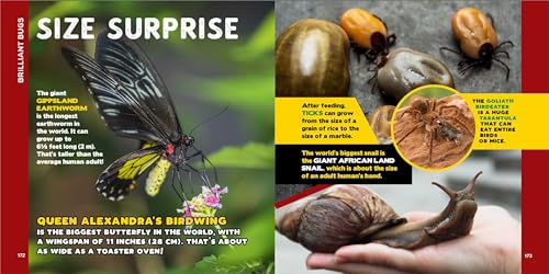 The Fascinating Bug Book for Kids: 500 Startling Facts! (Fascinating Facts)