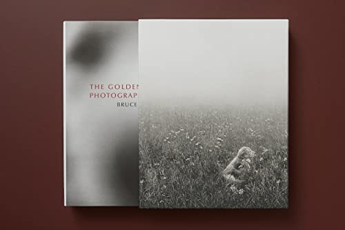 The Golden Retriever Photographic Society