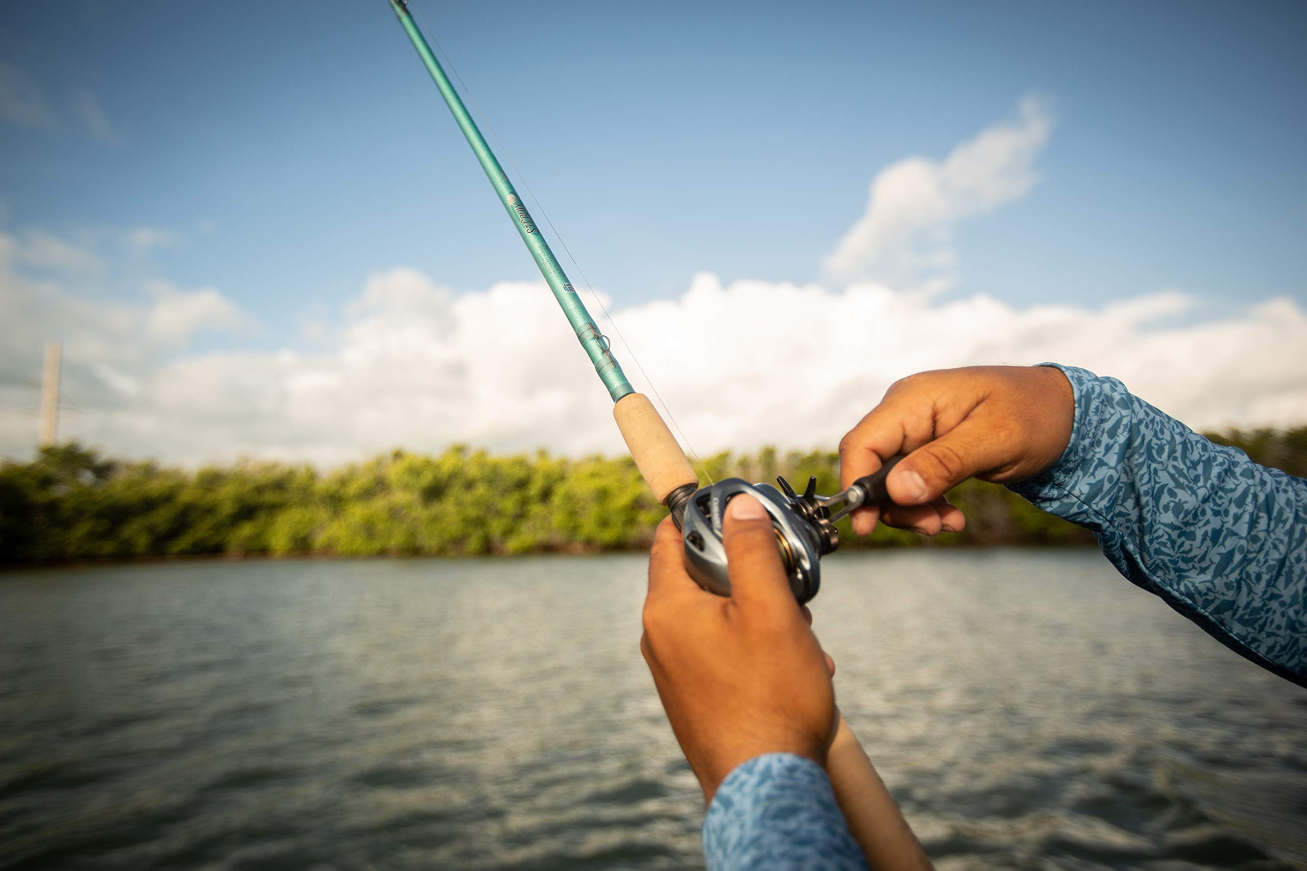 St. Croix Rods Avid Series Inshore Casting Rod, Seafoam Green Metallic, 7'0" - Feet