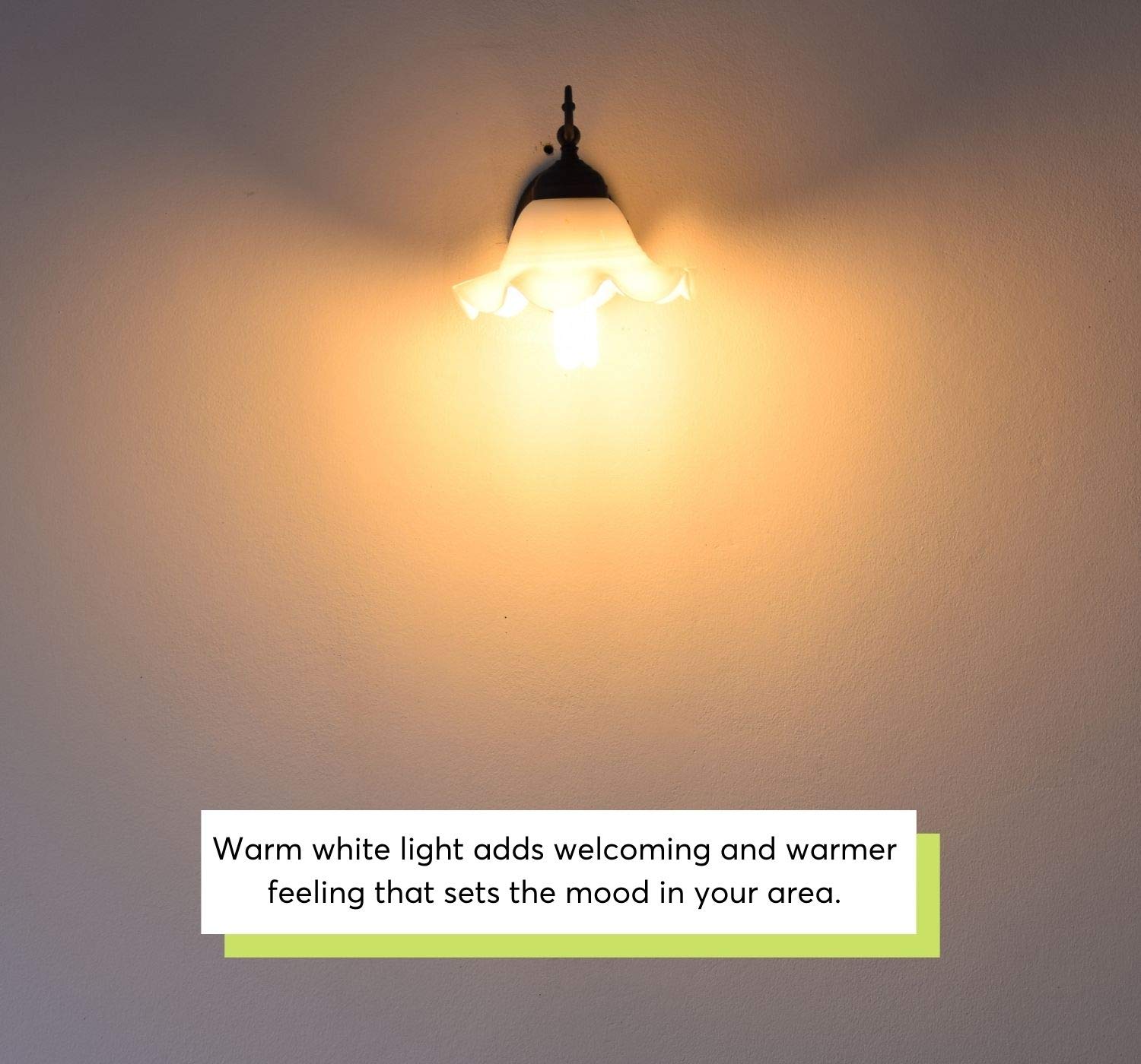 Sterl Lighting 15 Watts T6 E12 Candelabra Base Dimmable Tubular Himalayan Salt Lamps Incandescent 15T6 Light Bulb 120V 2.83 inch 85 Lm 2700K Warm White Clear - 6 Pack