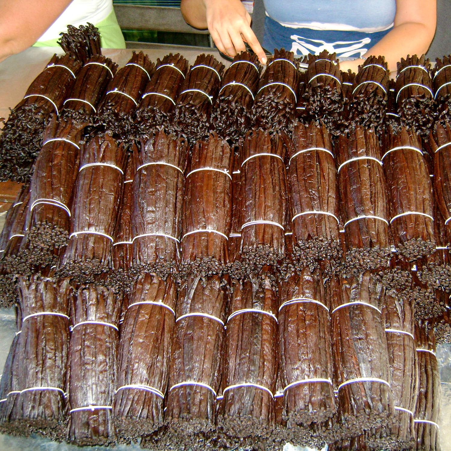 Tahitian Gold Grade A Vanilla Beans: 10 Organic Whole Vanilla Beans for Making Extract, Baking, & Cooking - Tahitian Vanilla Beans: Freshly-Cured, Gourmet Real Vanilla Pod in Durable, Kitchen-Safe Jar