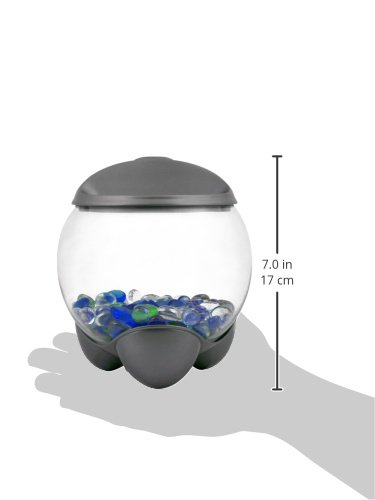 Tetra 29263 Betta Bubble Betta Bowl with Built In LED Light
