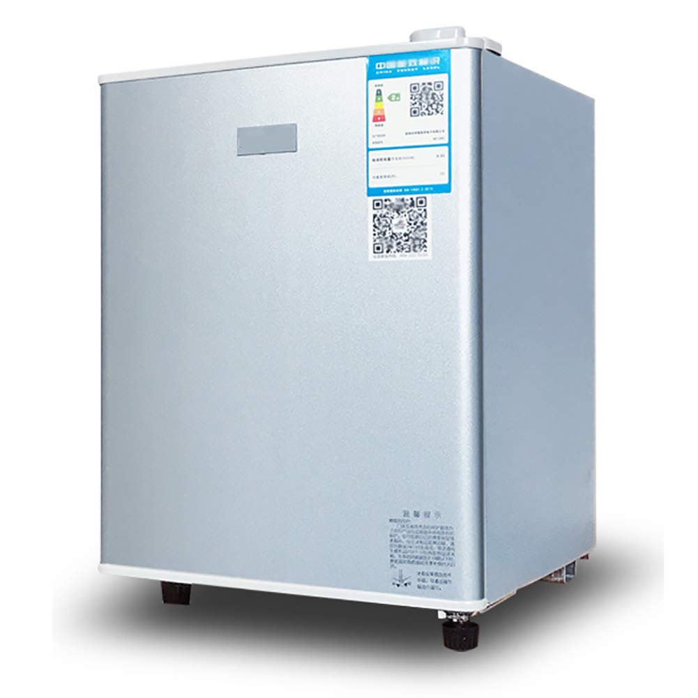 TOPYL Compact Refrigerators,50L Large Capacity Thermoelectric 220v Low Energy Small Fridge,Super Quiet Single Door Mini Fridge Silvery