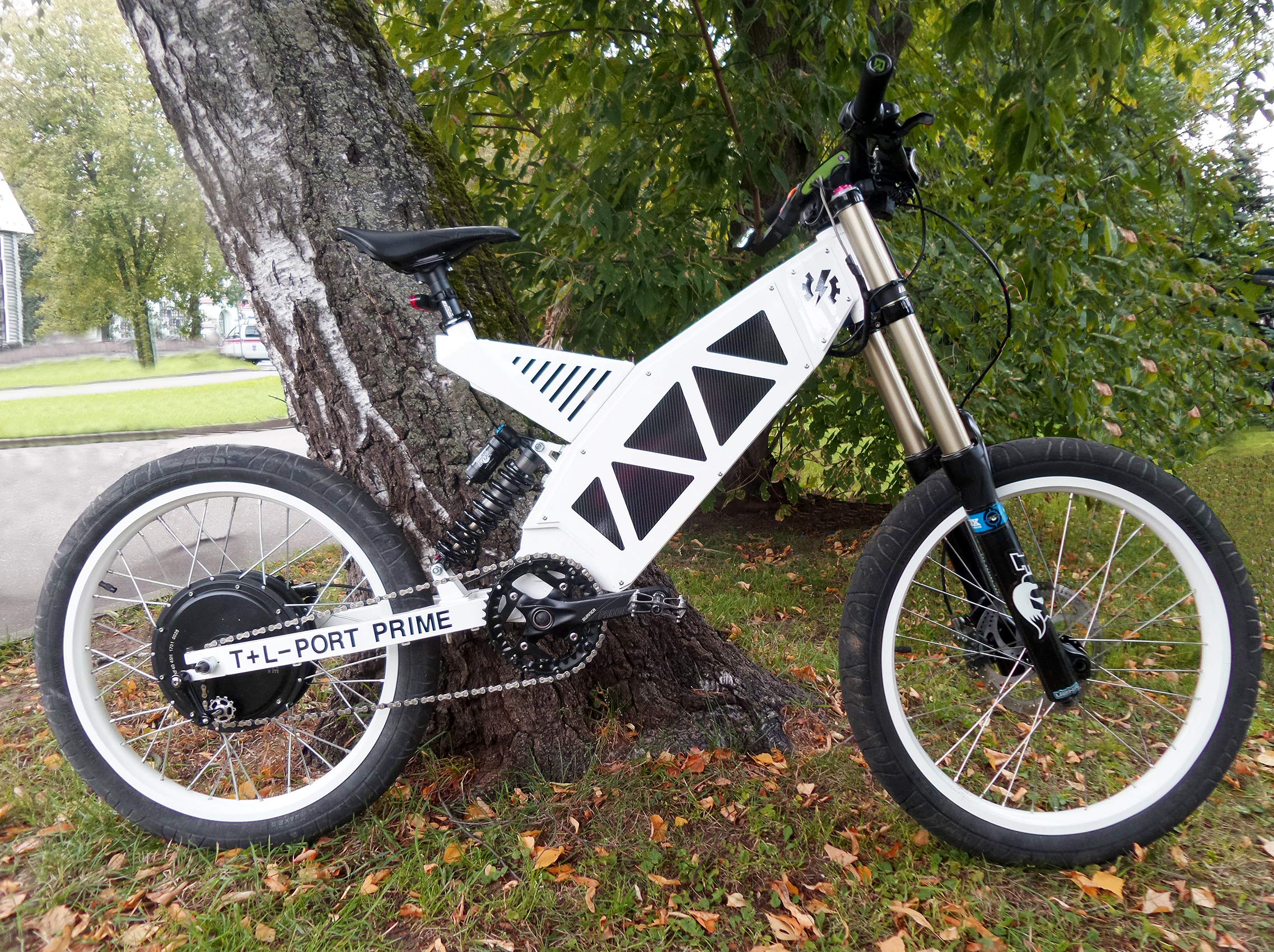 Teleport Prime Universal Steel Ebike Frame for Electric Bike (Black)