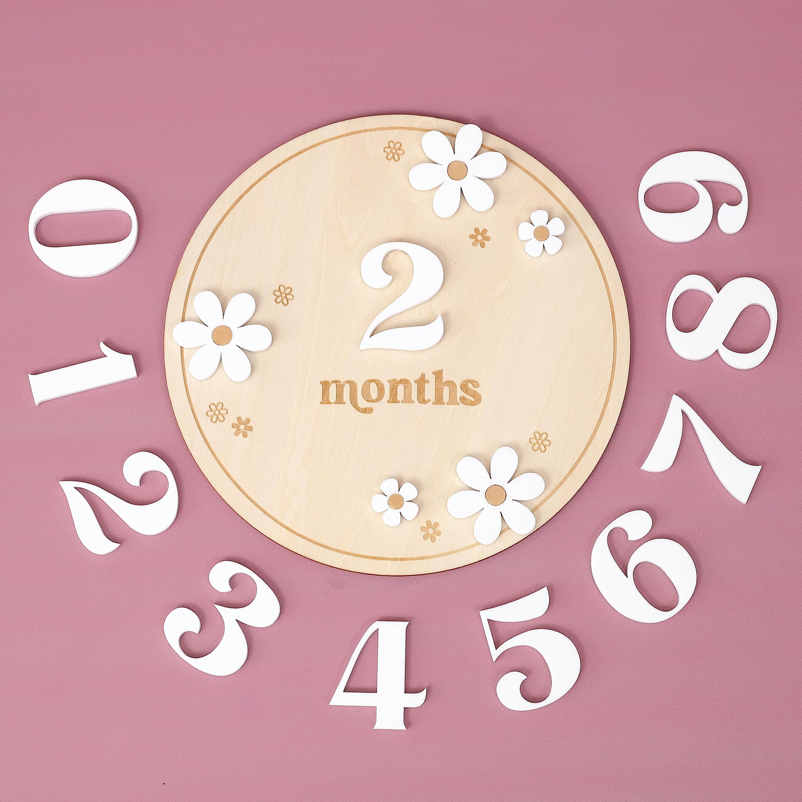 Wooden Boho Daisy Flower Milestone Cards - 1-12 Months Interchangeable Milestone Card Decor,Baby Party Photo Prop,Full Moon Background Decoration Props. (2-12 Months Daisy Flower Milestone Cards)
