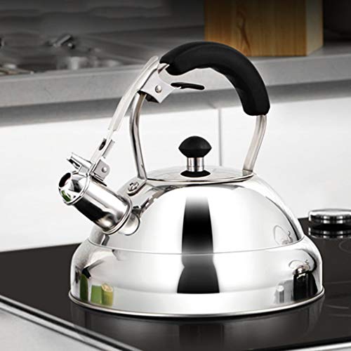 ZNZN Stove Kettle Large Capacity Kettle-Creative Silver Food Grade Stainless Steel Teapot with Ergonomic Handle (2.6L,87.9OZ) Multifunctional Water Kettle