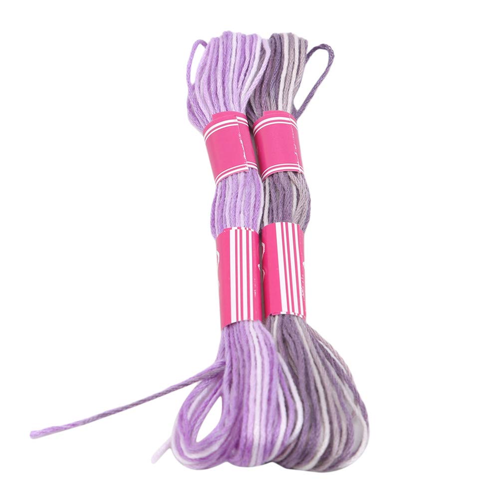 Toporchid Embroidery Threads Gradient Color Embroidery Floss Cross Stitch Threads Floss Craft Floss Embroidery Art(Color)