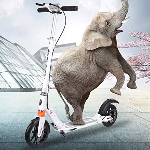 ZANFUN Kick Scooter Foldable and Portable Lightweight Brake Design Three Height Adjustments for Adults Teens Kids White