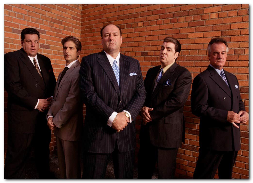 Wall Decor The Sopranos Cast Poster (13 x 19 Inches) | Ready to Frame for Office, Living Room, Dorm, Kids Room, Bedroom, Studio