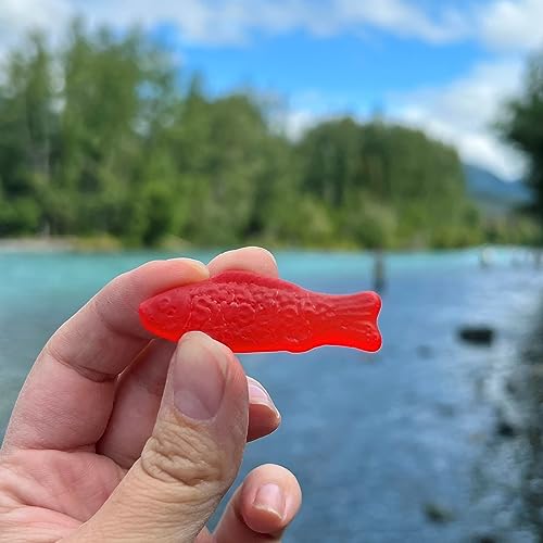 SWEDISH FISH Soft & Chewy Candy, 5 lb Bag