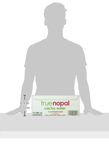 True Nopal Cactus Water, 16.90 Fl. Oz (Pack of 12)