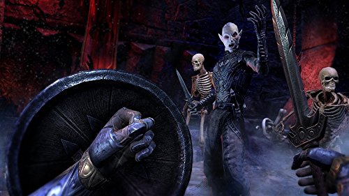 The Elder Scrolls Online - PlayStation 4 Imperial Edition