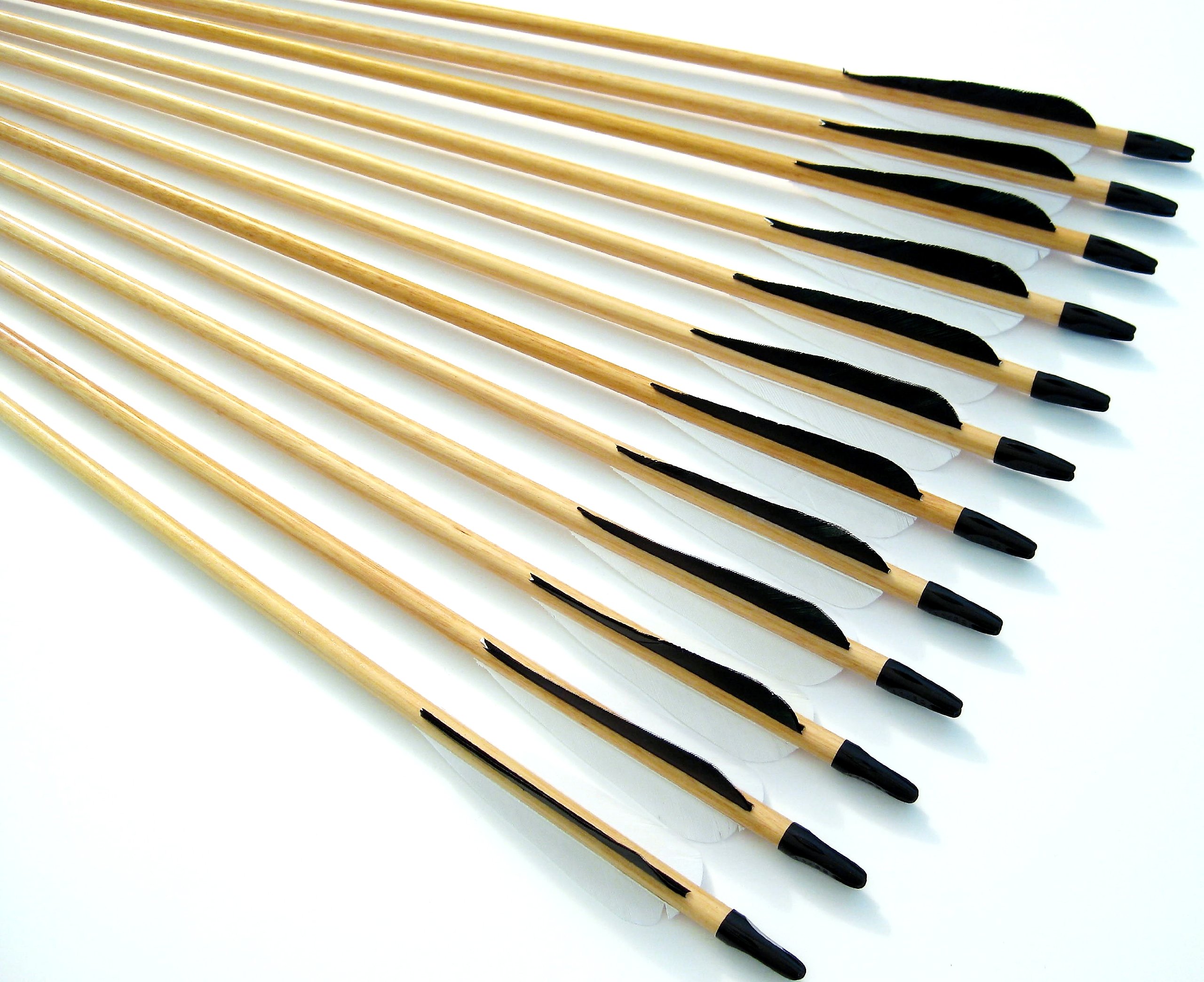 Shiny Black 12 Handsome, Premium Wood Arrows with Turkey Feathers & Stainless Steel Field Points - for Recurve, Compound, or Long Bow. 50-70# Spine Weight. 30 Inches.