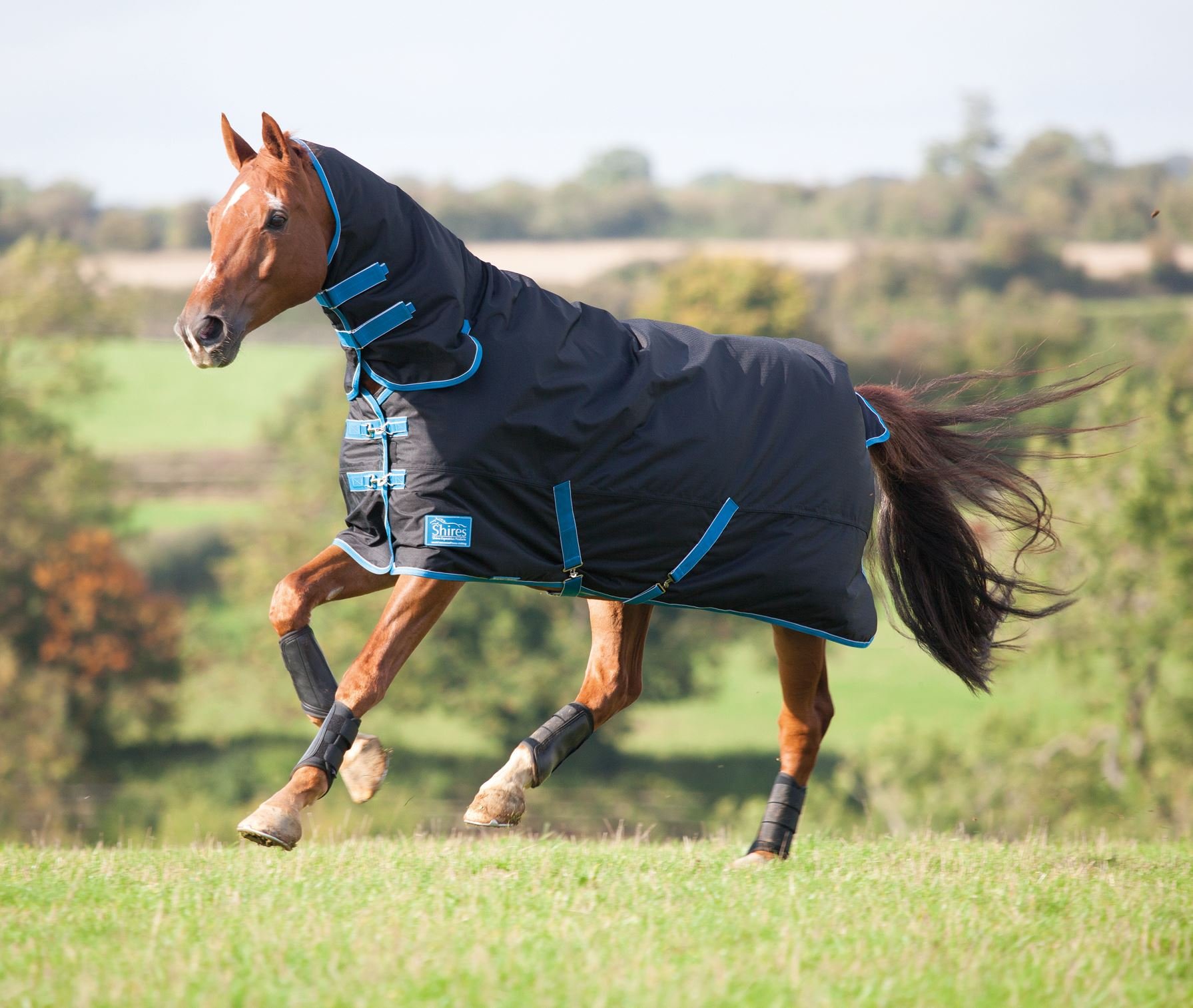 Shires Tempest Original 100gm Combo Blanket 48