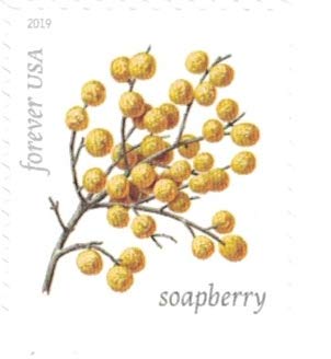 Winter Berries Book of 20 First Class US Postage Stamps Wedding Celebrate Engagement (20 Stamps)