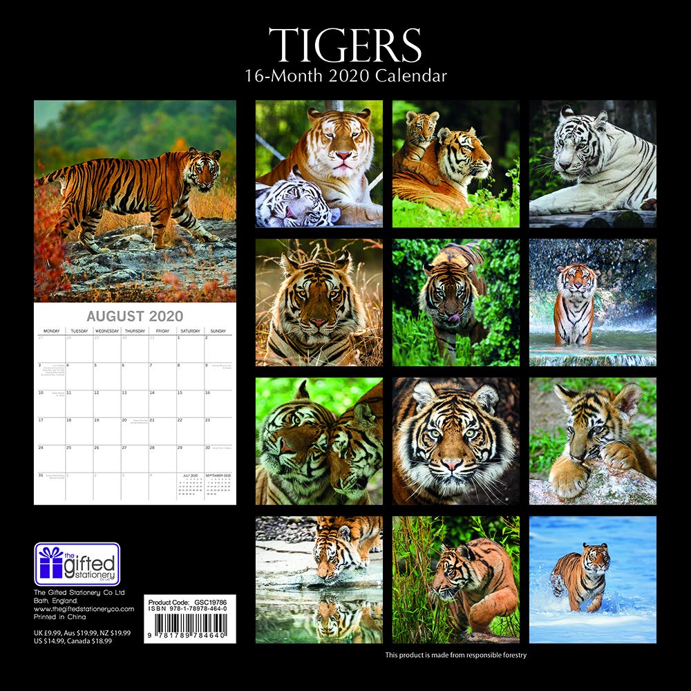 Tigers: 2020 Square Wall Calendar