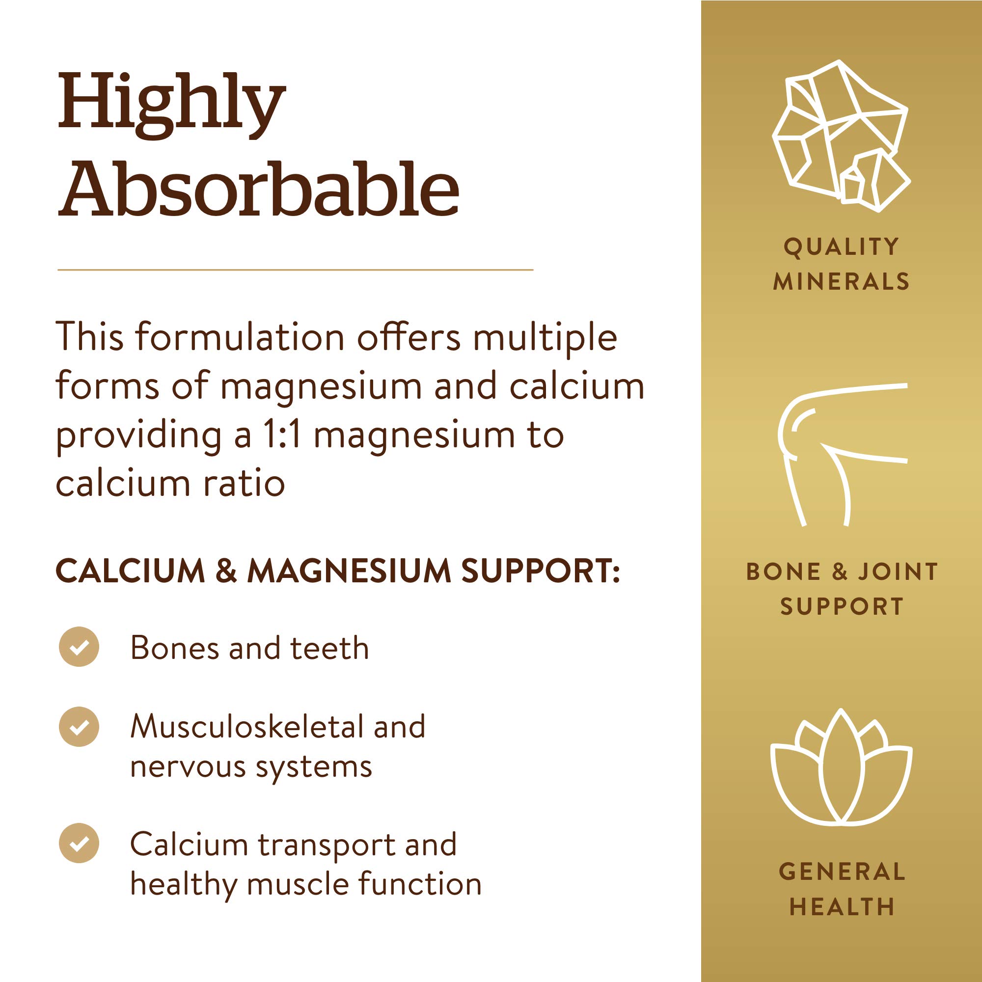 Solgar Chelated Calcium Magnesium 1:1, 240 Tablets - Promotes Healthy Bones - Supports Nerve & Muscle Function - Non-GMO, Vegan, Gluten Free, Dairy Free, Kosher, Halal - 60 Servings
