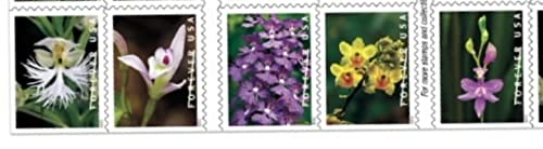 USPS Wild Orchids Flowers Forever Stamps Postal First Class US Postage Stamps Birthday Wedding Celebration Engagement Anniversary Bridal Shower (Strip of 10)
