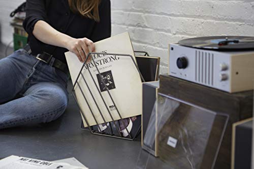 Umbra Zina Magazine Rack & Record Holder, Perfect for Vinyl Record Storage, Stands or Mounts to Wall, Titanium