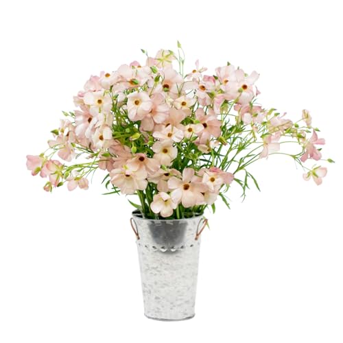 Stargazer Barn- Ariadne Grande Bouquet 15 Stem Butterfly Ranunculus mothes Day, womens day, birthday, anniversary
