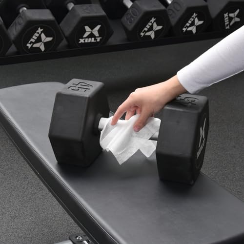 WIPE SANI-CLOTH AF3 DISPCANISTER LG 160/CAN