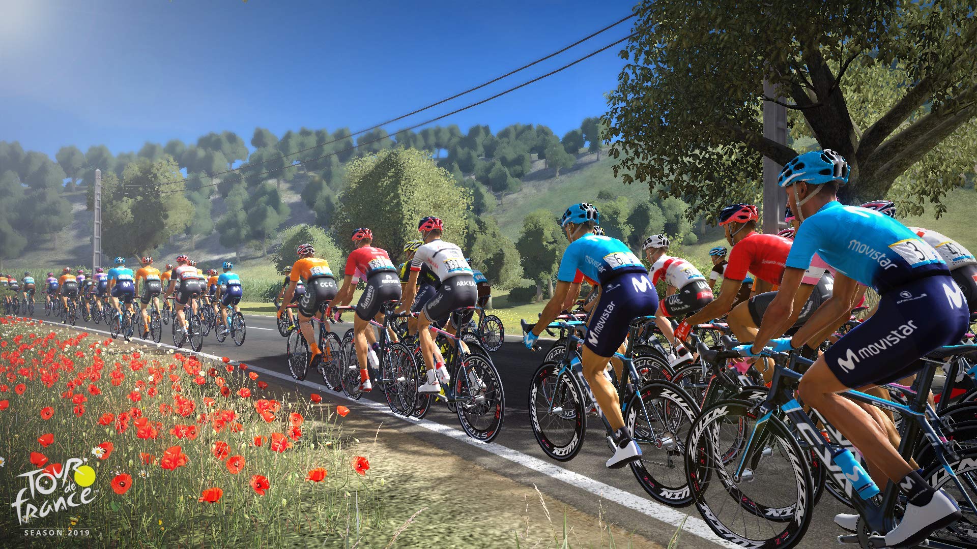 Tour De France: Season 2019 - Xbox One (Xbox One)