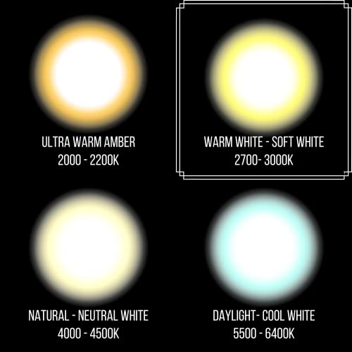 Xtricity PAR20 Halogen Narrow Flood Light Bulb, Halogen Light Bulb, 50W, Dimmable, 700 Lumens, E26 Medium Base, 2700K Warm White, 120V, Ideal for Range Hood Replacement, (4 Pack)