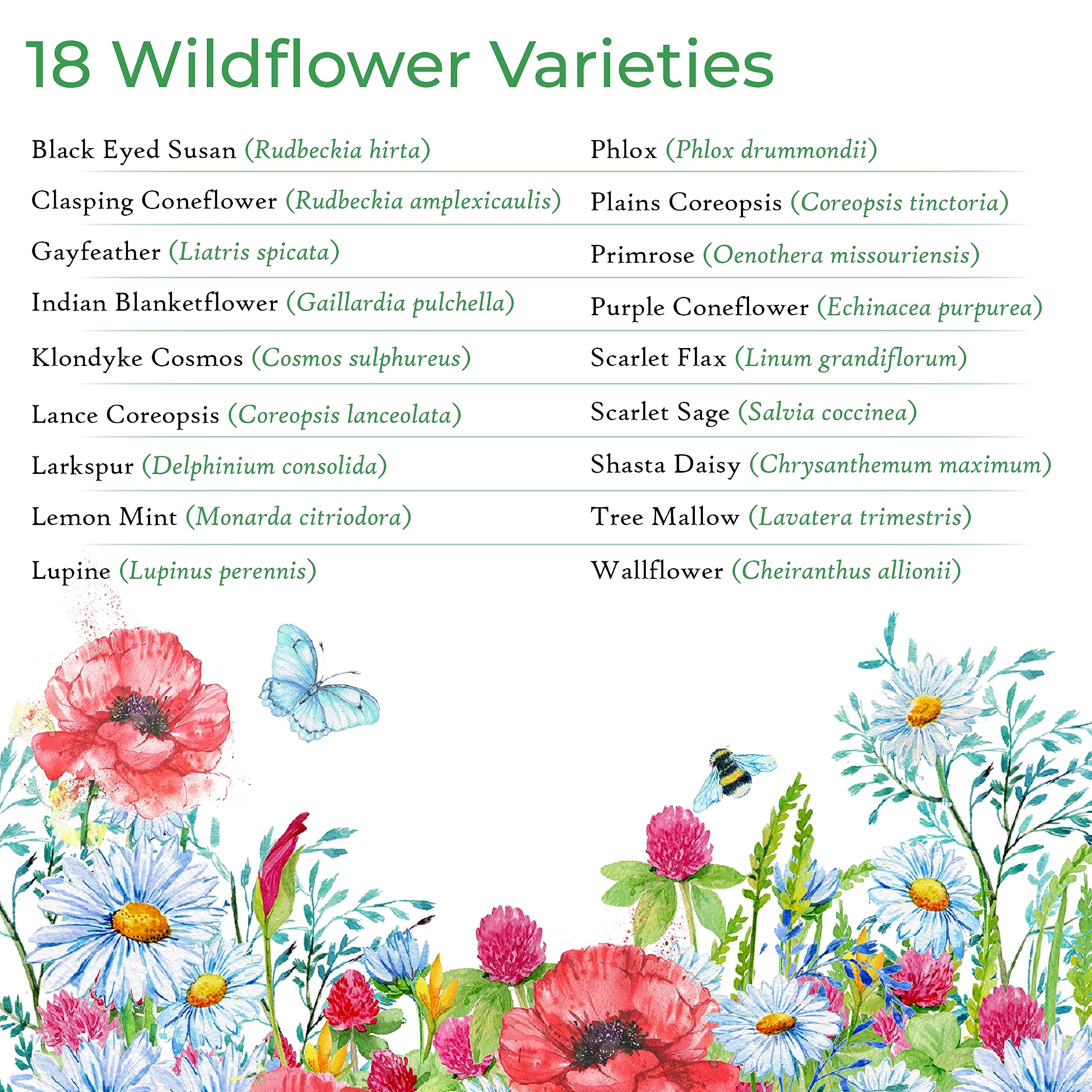 West Virginia Wildflower Seed Mix, Covers 325 Sq Ft, 18 flower varieties, Over 35,000 seeds, Created By Nature