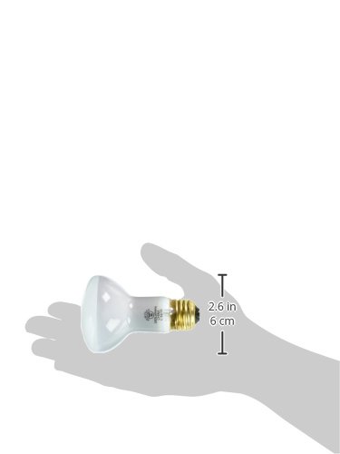 Westinghouse 0370000, 45 Watt, 120 Volt Frosted Incand R20 Light Bulb, 2000 Hour 380 Lumen,Clear