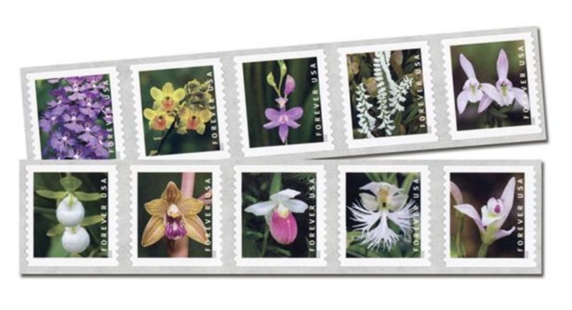 USPS Wild Orchids Flowers Forever Stamps Postal First Class US Postage Stamps Birthday Wedding Celebration Engagement Anniversary Bridal Shower (Strip of 10)